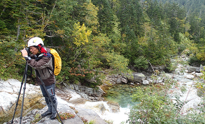 Foxfire True to nature Vol.14 秦達夫 – SWITCH ONLINE